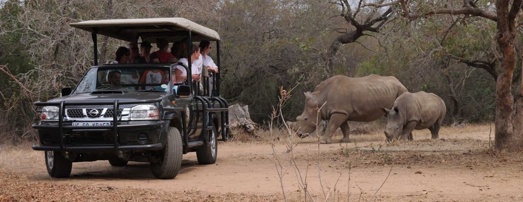 Our curated ITINERARIES for a 7-day or 10-day stay - Intrepid Odyssey ...