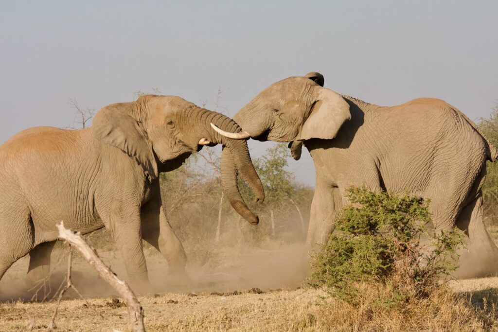 Understanding the Basics: Key Ecological Concepts of our Wonderful ...